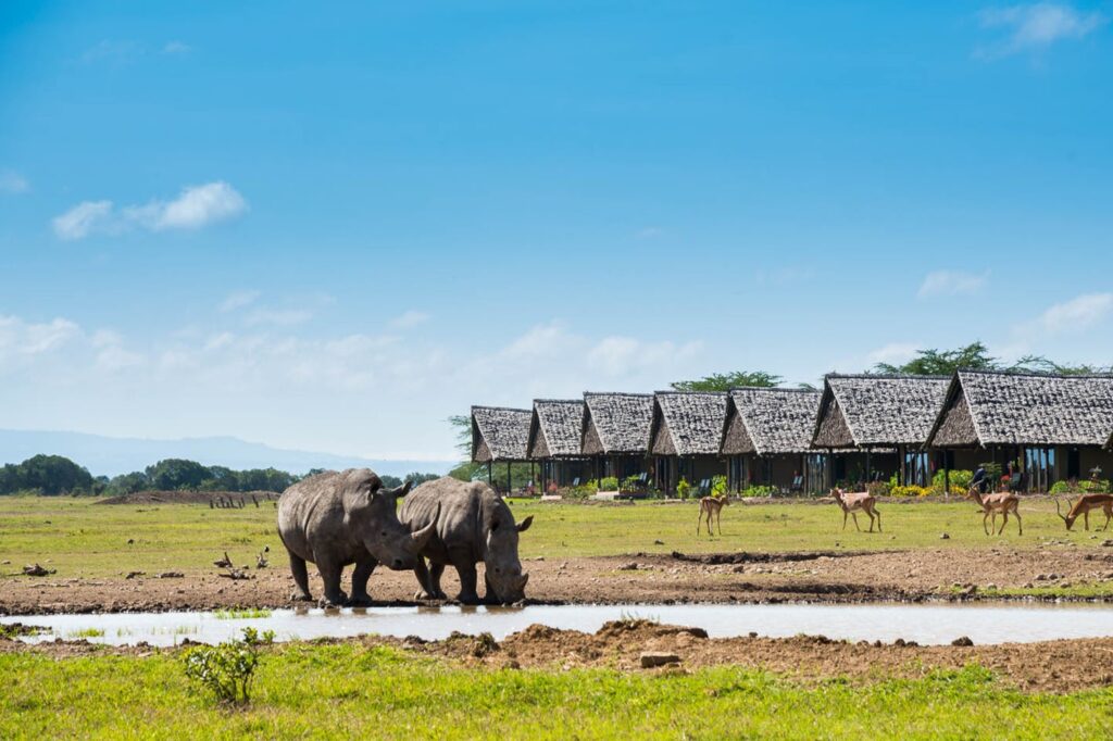 Can I visit Ol Pejeta Conservancy? - Experiya Tour Company