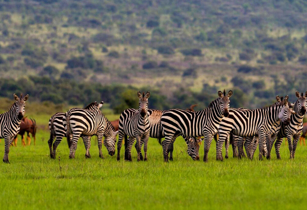 Popular Rwanda Destinations 2026 - Experiya Tour Company