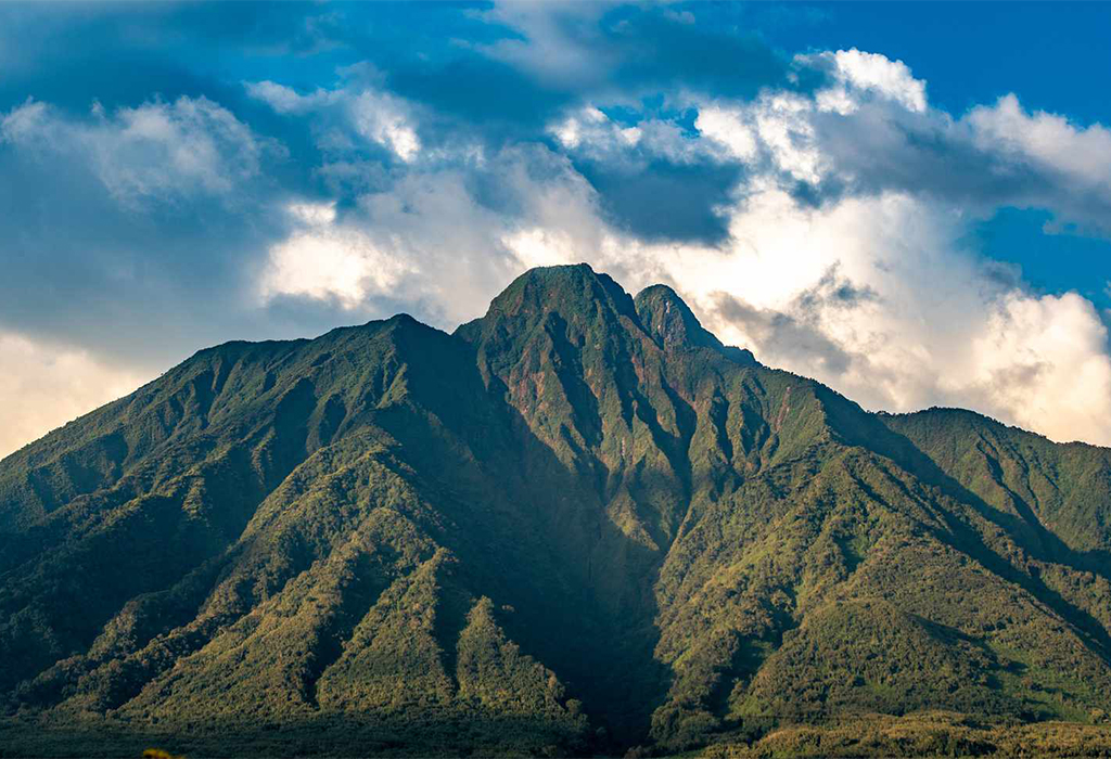 Best Time to Visit Rwanda: Travel and Climate Guide - Experiya Tour Company